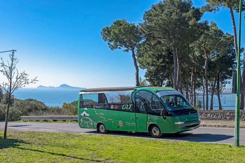 From Rome: Pompeii and Vesuvio Guided Day Trip with Lunch - Who Will Love This Tour?