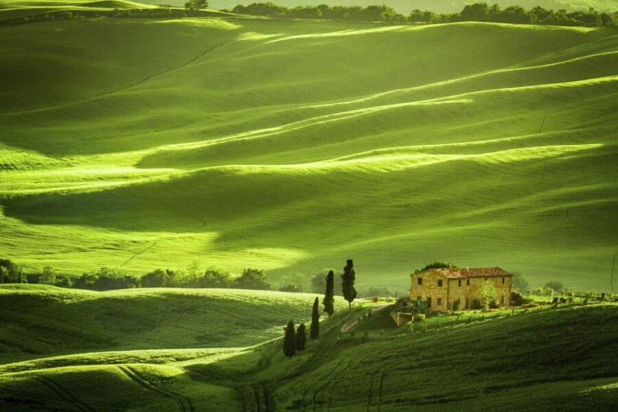 From Rome: Private Tuscany Day Trip - An In-Depth Review of the Tuscany Experience