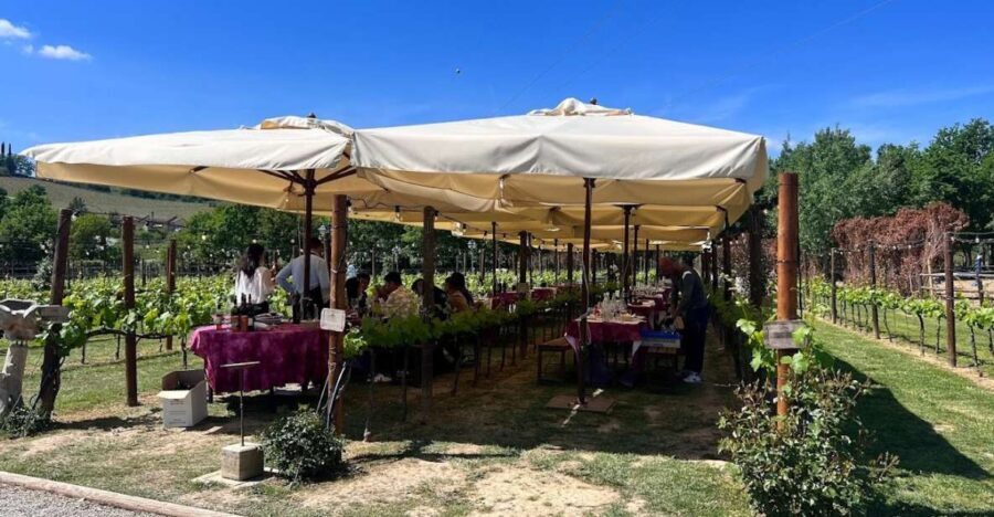 From Rome: Siena and S. Gimignano, Tuscany Wine One Day Tour - Highlights of Siena: Culture, Sweets, and Sights