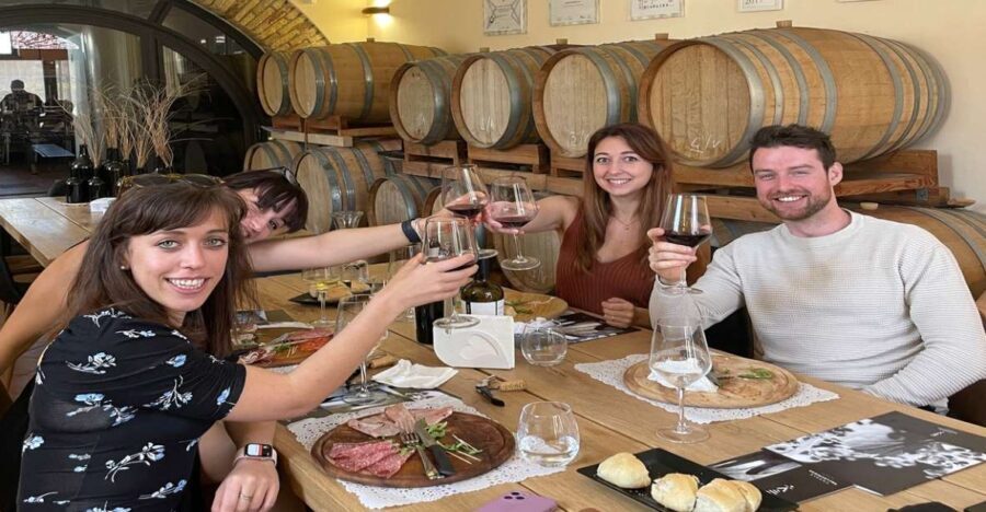 From Rome: tasting tour in cellar immersed between vineyards - A Closer Look at the Experience