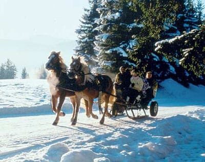 From Salzburg: 8-hour Horse-Drawn Tour w/ 2-hour Sleigh Ride - A Detailed Look at the Tour