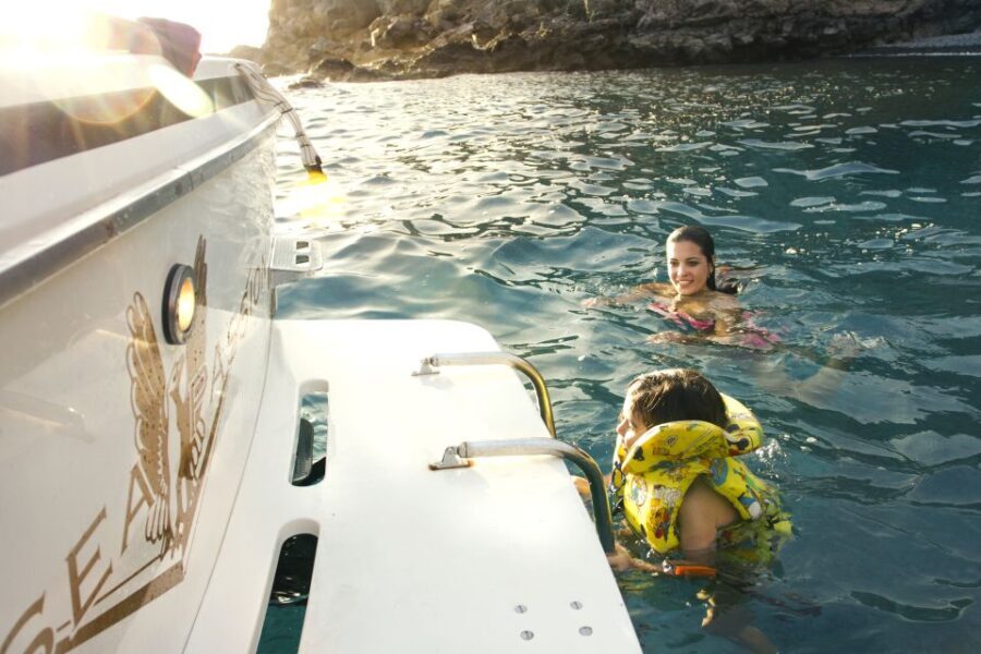 From San Juan beach : Marine Life Cruise - Why This Tour is a Good Deal