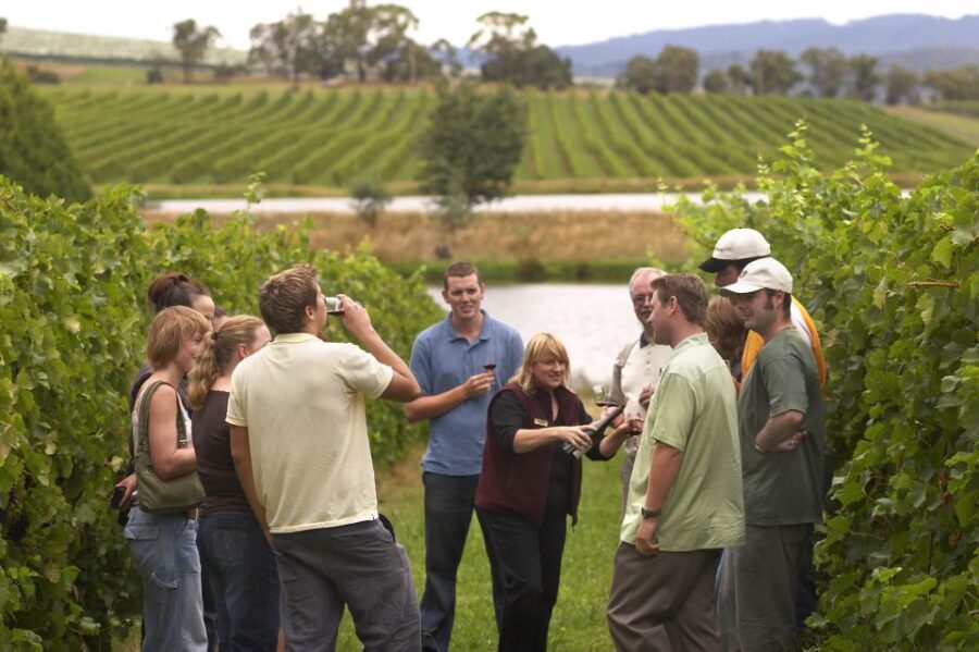 From San Sebastian/Bilbao/Vitoria: Rioja Wine Tour w/ Lunch - The Itinerary: A Closer Look