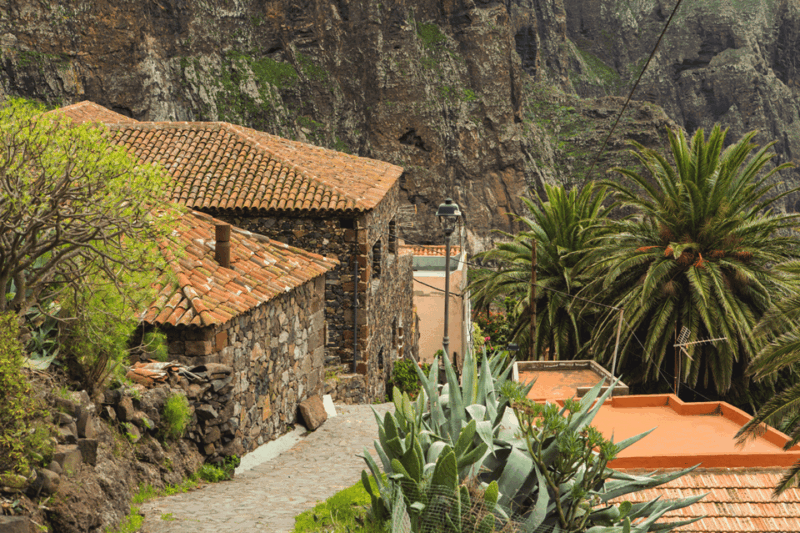 From Santa Cruz de Tenerife: Masca & Garachico Private Trip - A Full Breakdown of the Tenerife Private Trip