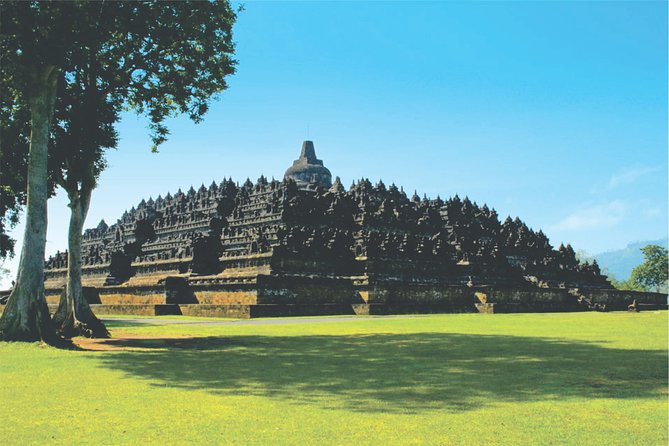 From Semarang Port: Borobudur Temple Private Shore Excursion - An Intro to the Tour Experience