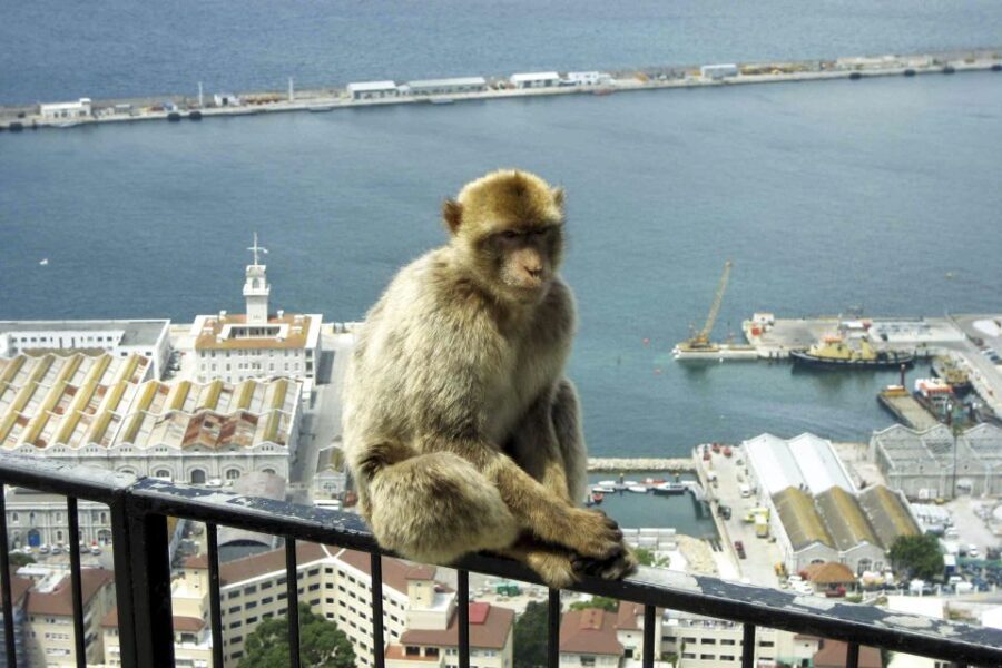 From Seville: Day Trip to Gibraltar - The Itinerary: A Closer Look