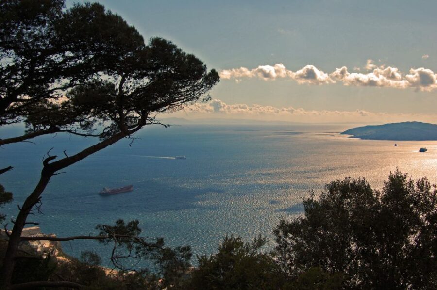 From Seville: Full-Day Trip to Gibraltar - A Detailed Look at the Itinerary