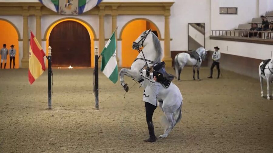 From Seville: Jerez, Cádiz and Andalusian Horses - Detailed Breakdown of Each Stop