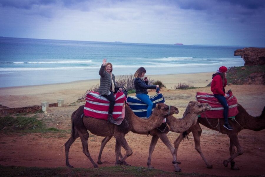 From Seville: Tangier Day Trip with Local Guide and Lunch - Who Should Consider This Tour?