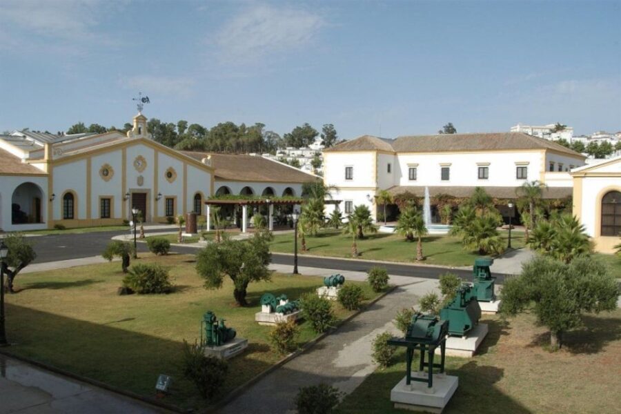 From Seville: Tour of Jerez with Horse Show & Wine Tasting - The Value of This Tour