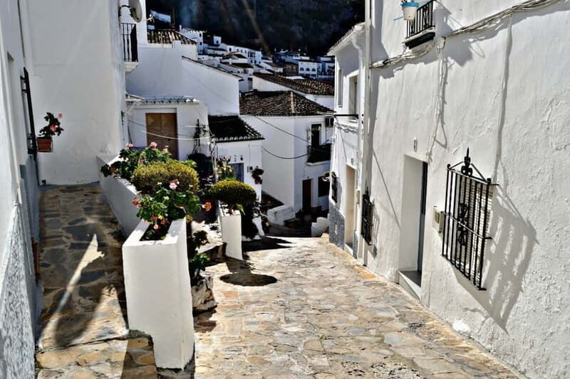 From Seville: White Villages Tour - What Travelers Say