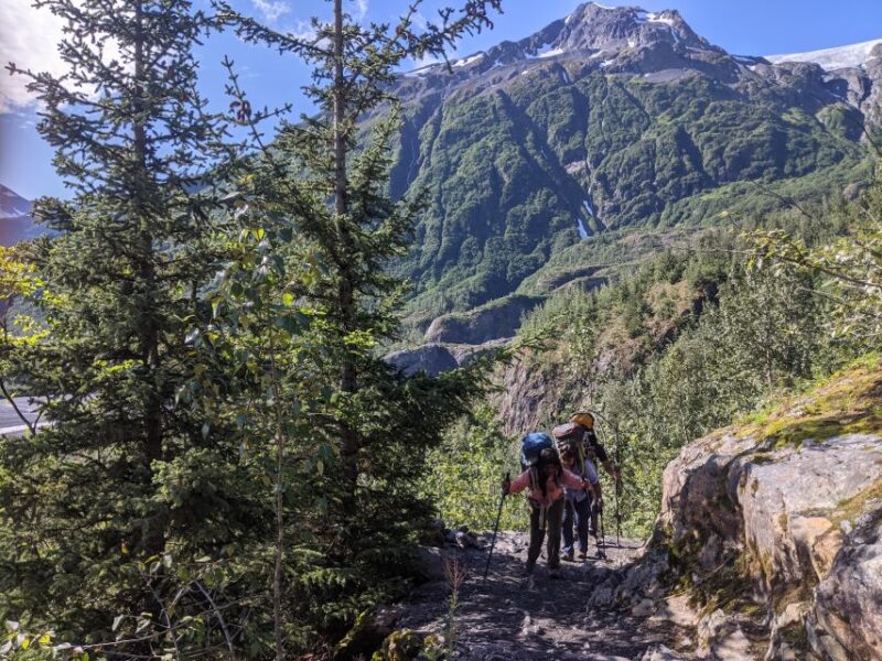 From Seward: 4-hour Wilderness Hiking Tour - Exploring Alaska’s Wilderness on a 4-Hour Guided Hike from Seward