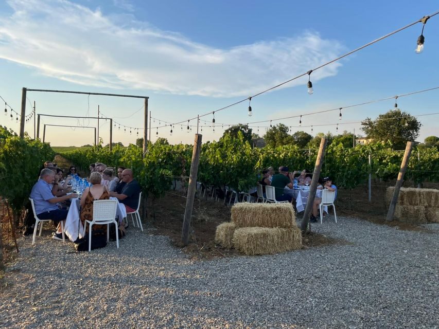 From Siena: Chianti and Castles Tour with Wine Tastings - The Experience in Context: How Valuable Is It?