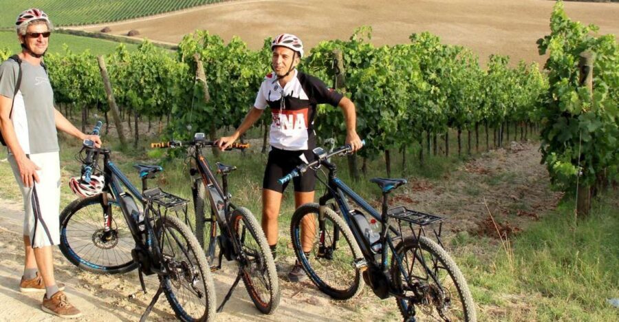 From Siena: Chianti Countryside E-Bike Tour w/ Lunch & Wine - Who Will Love This Tour?