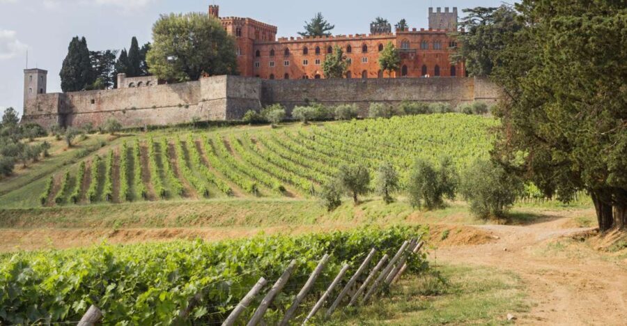 From Siena: Chianti Wine Tour with Lunch - Visiting Hilltop Towns and Local Artisans