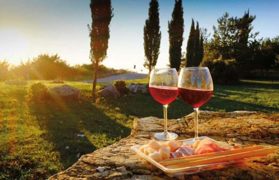 From Siena: San Gimignano, Chianti, and Montalcino Day Trip - The Journey Begins: San Gimignano