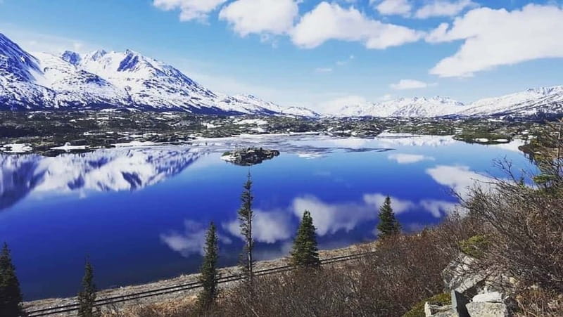 From Skagway: White Pass and Yukon Suspension Bridge Tour - Key Points