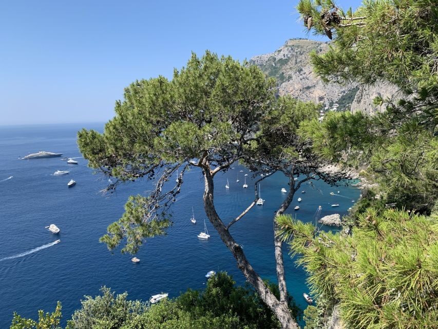 From Sorrento: Day Trip to Capri & Anacapri with Blue Grotto - Transportation and Timing