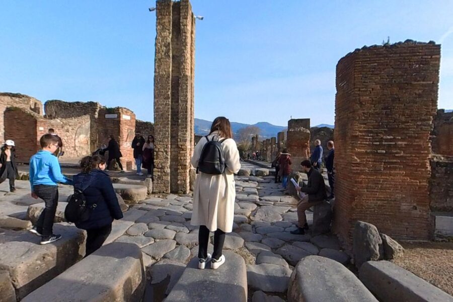 From Sorrento: Pompeii and Vesuvius Guided Tour with Lunch - The Value and Practical Considerations
