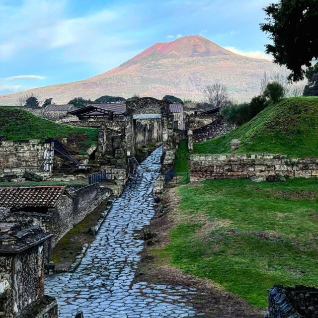 From Sorrento: Pompeii and Vesuvius Skip-the-Line Tour - What to Expect: The Day in Detail