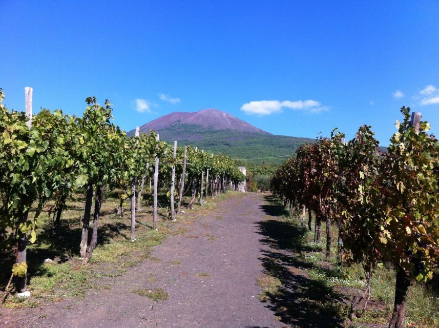 From Sorrento: Skip-the-Line Guided Vesuvius Hike and Lunch - The Itinerary in Detail