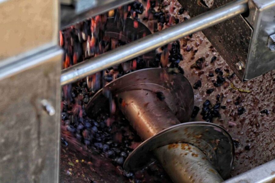 From Sorrento: Winery Tour, Tasting & Lunch - The Value and Practicalities