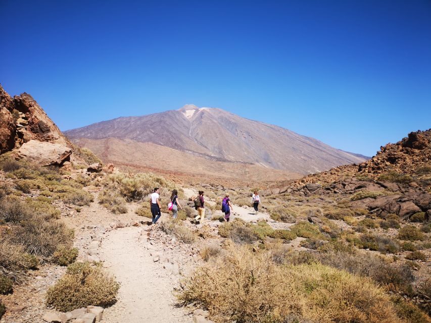 From South Tenerife: Teide National Park Tour - Authentic Feedback: What Travelers Are Saying