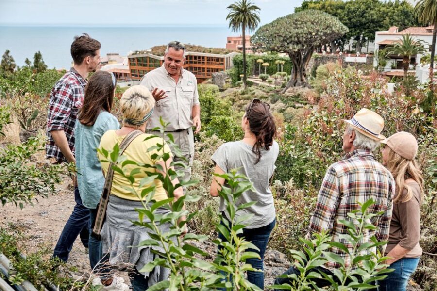 From South Tenerife: VIP Grand Tour Tenerife island - The Itinerary: What Youll See and Why It Matters