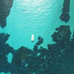 From Stintino: Half-day dinghy tour in Asinara Gulf - Who Should Consider This Tour?