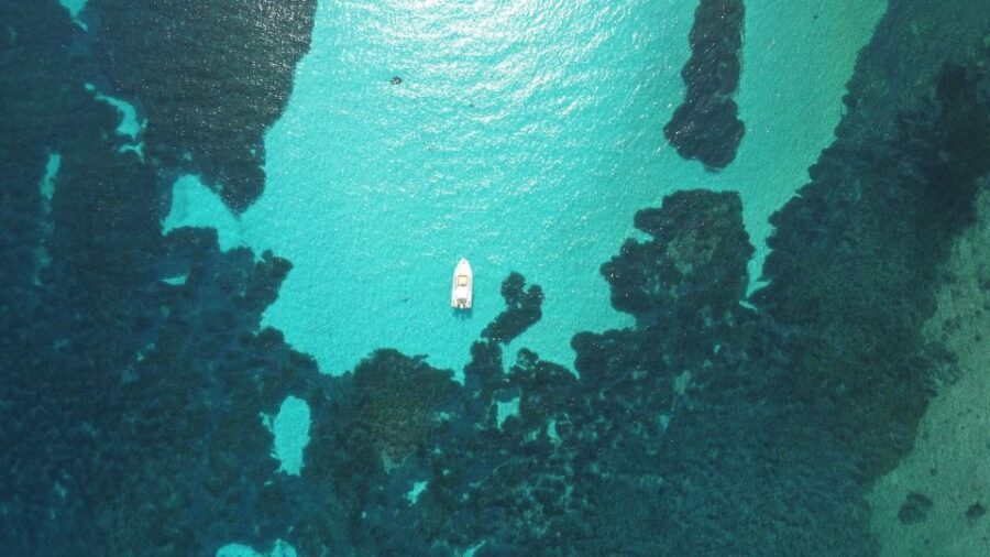 From Stintino: Half-day dinghy tour in Asinara Gulf - Who Should Consider This Tour?