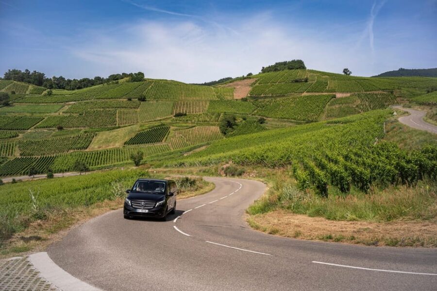 From Strasbourg: Private Alsace Classic Wine Tour - What’s Included and What’s Not