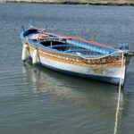 from Syracuse: Noto, Marzamemi and Wine tasting on Avola - Marzamemi: The Colorful Fishermen’s Village
