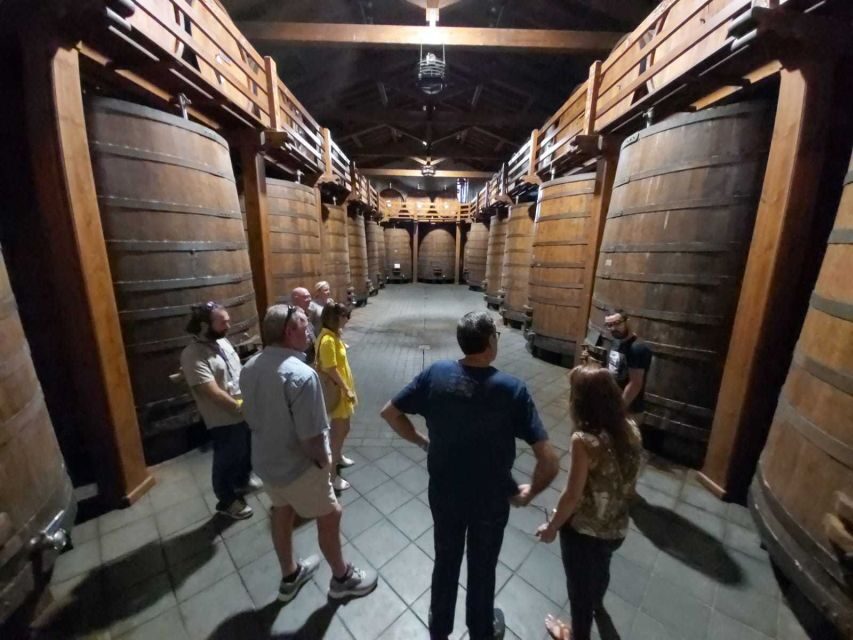 From Taormina: Etna Wineries Small Group Tour - Who Should Consider This Tour?