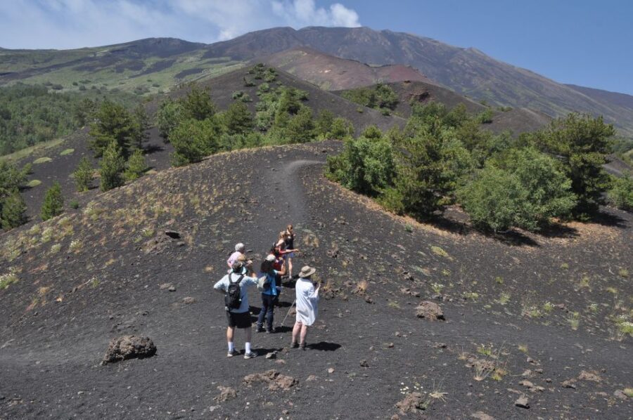From Taormina: Full-Day Etna, Wine & Alcantara Canyons Tour - Departure and Transportation