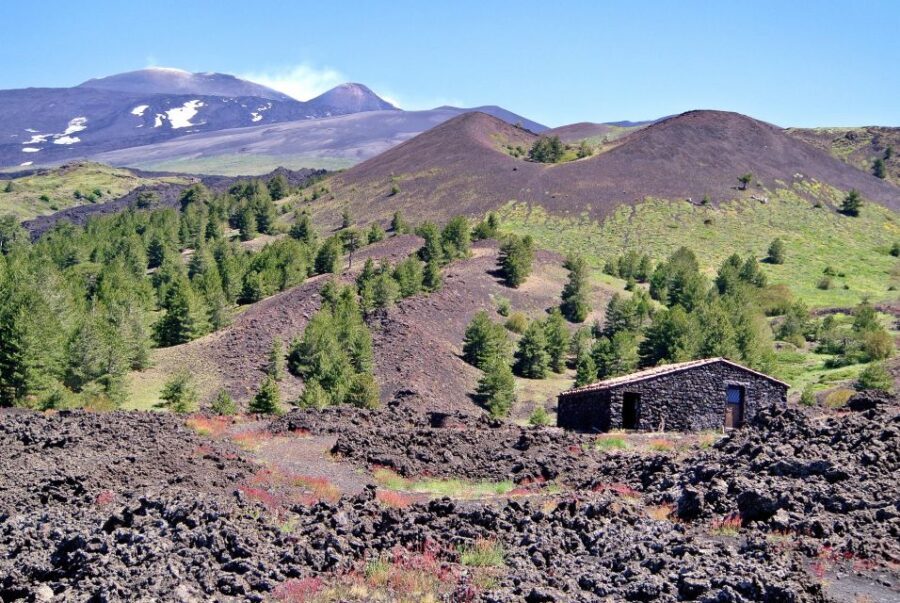 From Taormina: Mount Etna Guided Bus Tour - What Makes This Tour Stand Out?