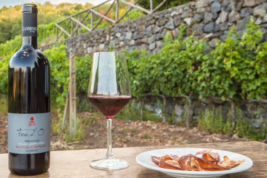 From Taormina: Private 3 Etna Wineries with Food & Wine - The Itinerary: A Closer Look