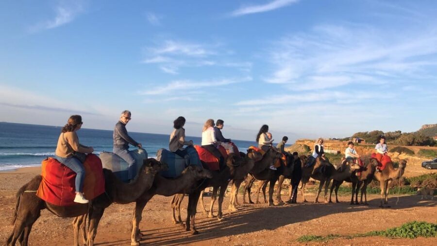 From Tarifa: Tangier full day Trip with guide - A Detailed Breakdown of the Day