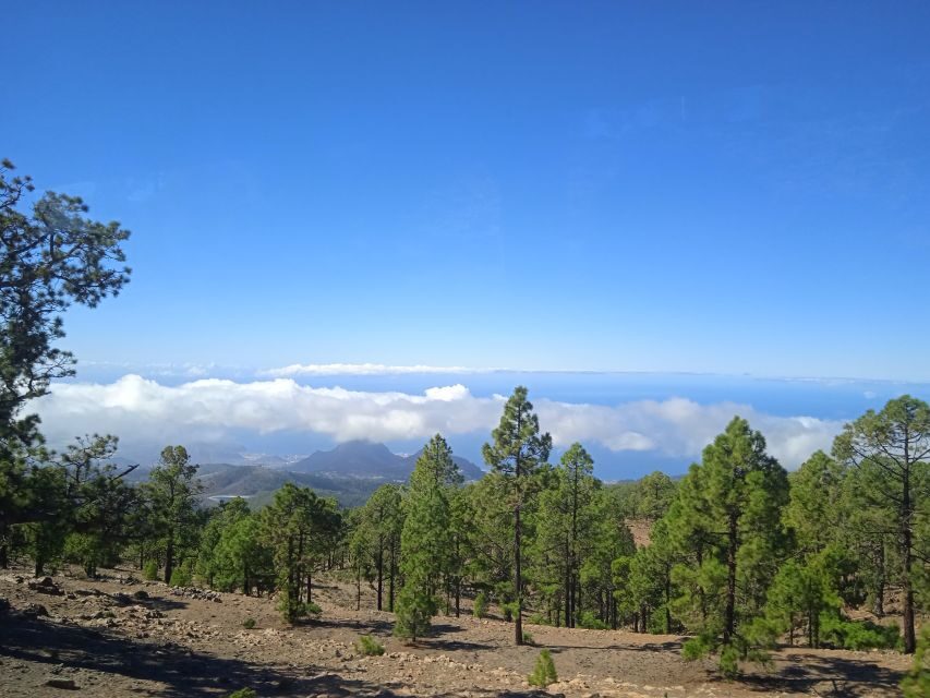 From Tenerife: Teide National Park Guided Day Trip by Bus - FAQ