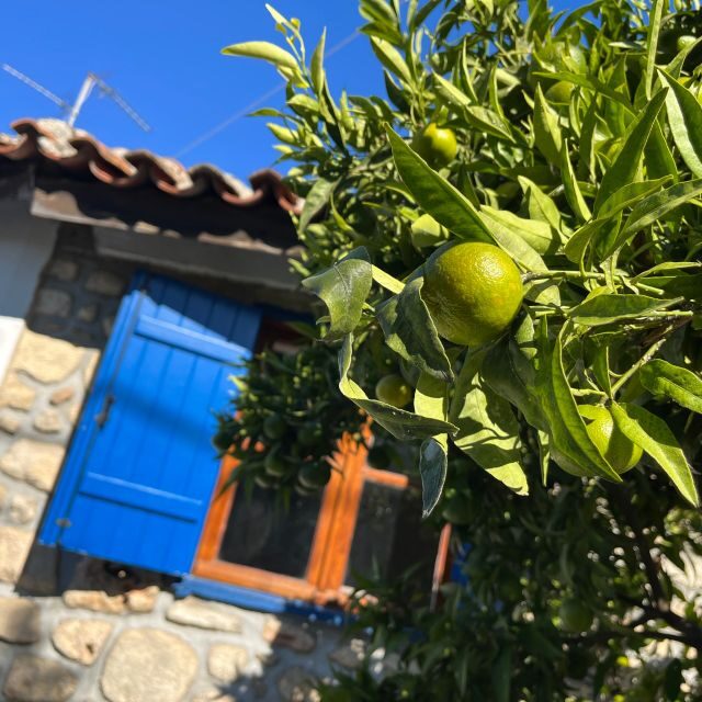 From Thessaloniki: Chalkidiki Hidden Gems Private Day Trip - The Tour Itinerary and What You Can Expect
