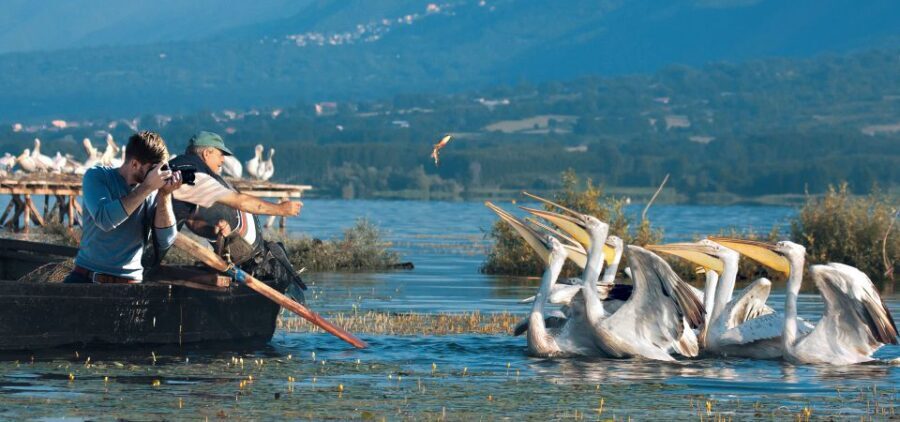 From Thessaloniki: Private Day Trip to Kerkini Lake - Transportation & Group Size