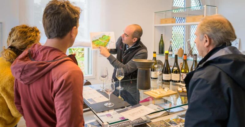 From Tours or Amboise: Loire Valley Wine Tour - Key Points