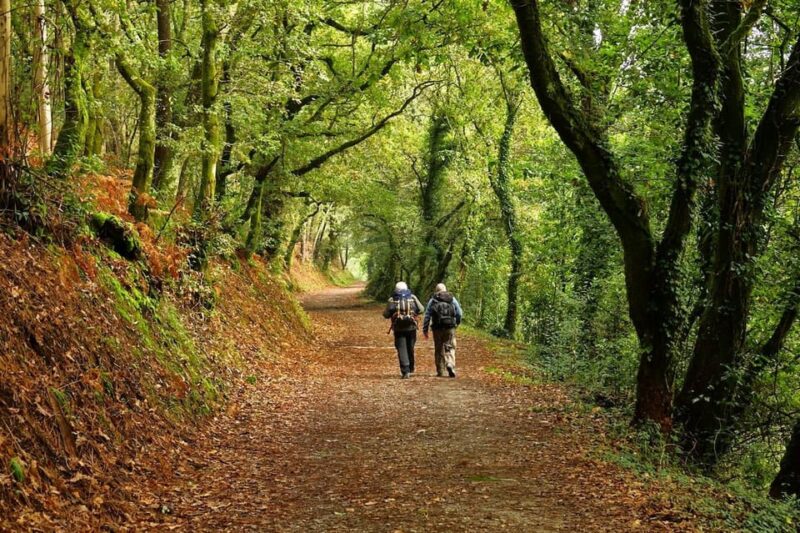 From Tui: 9-Day Guided Camino Walking Tour to Santiago - What’s Included and What’s Not