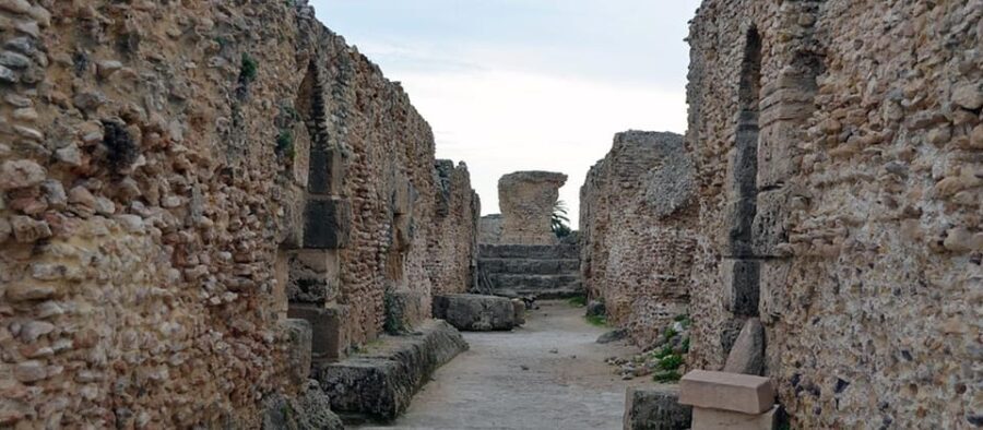 From Tunis/Sousse: Medina Bardo Carthage, Sidi Boussaid Tour - What Makes This Tour Stand Out?
