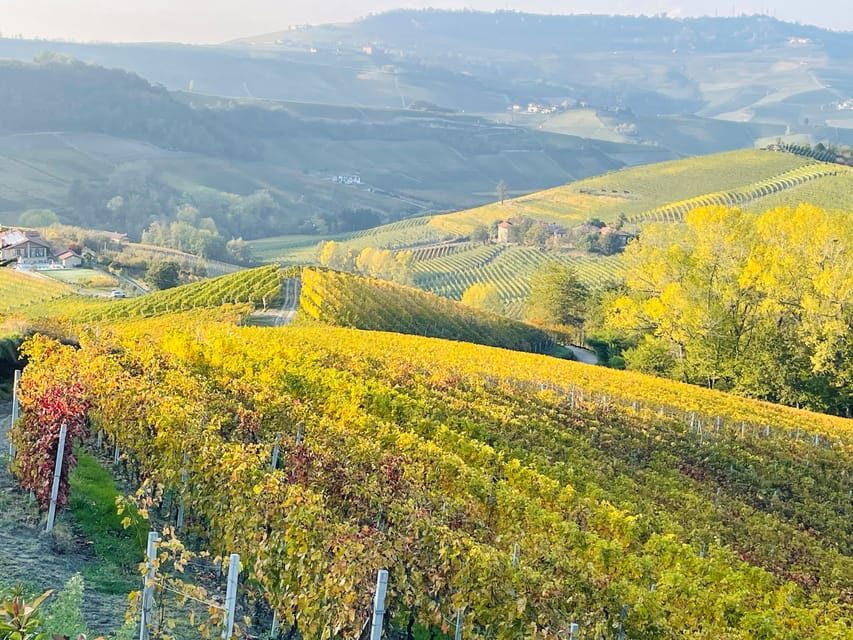 From Turin: Barolo & Barbaresco Tasting Tour - Transportation, Timing, and Practicalities