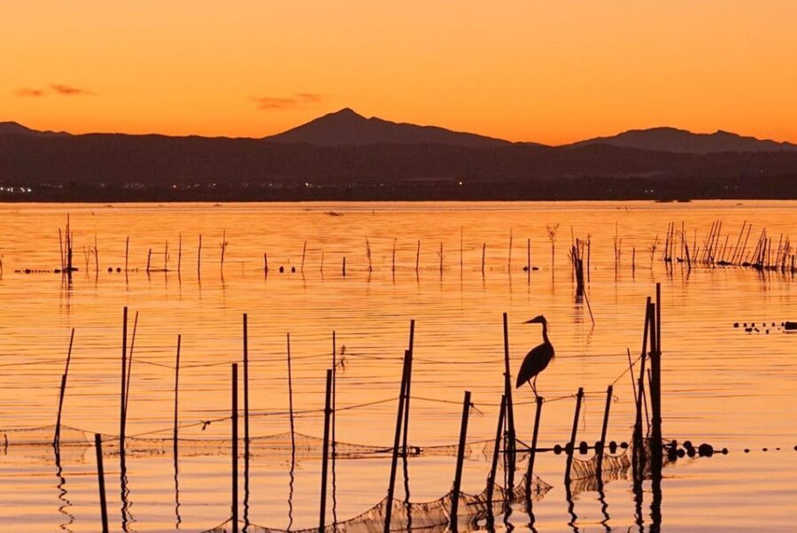 From Valencia: Albufera Natural Park with Sunset Boat Tour - Authentic Experiences and Local Flavor