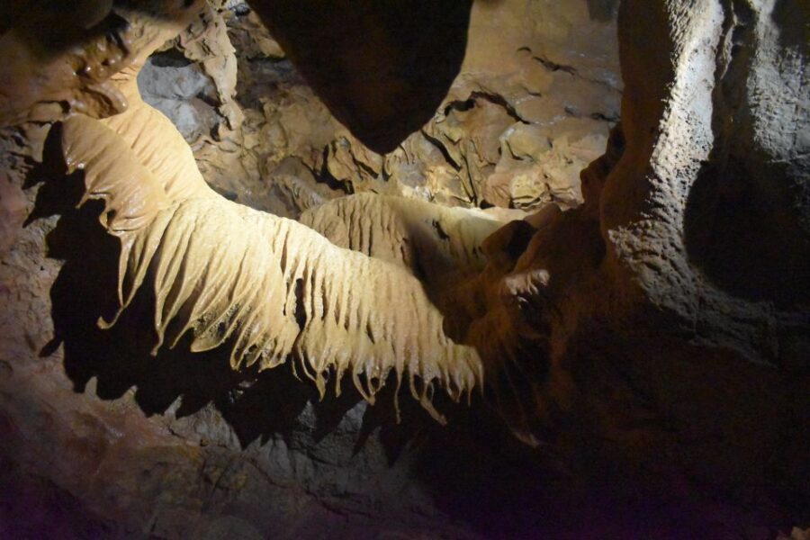 From Valencia: Caves of San José Guided Excursion and Ticket - Who Should Consider This Tour?