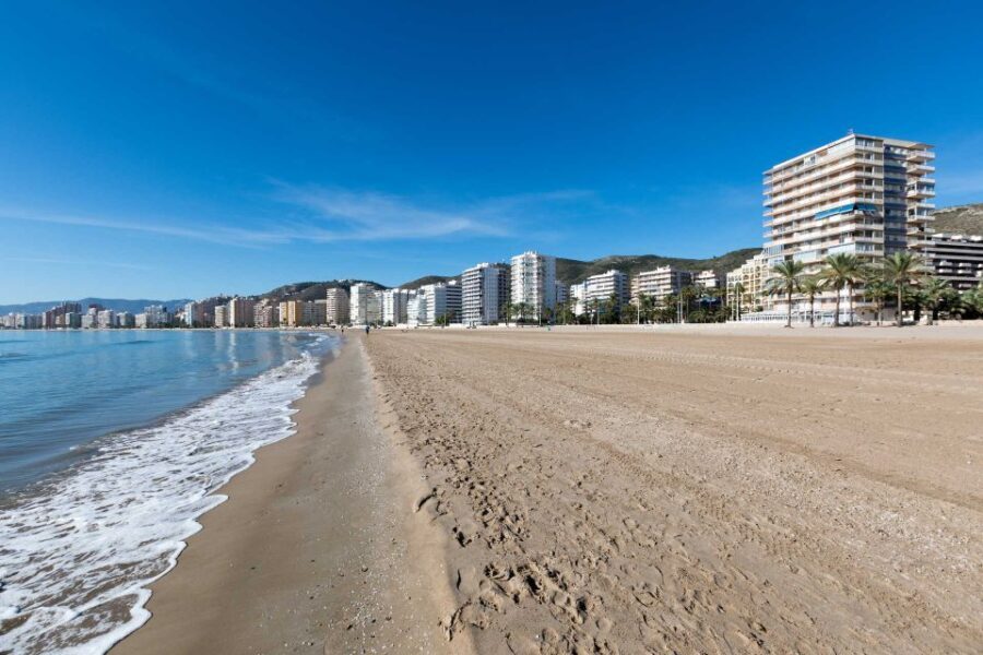 From Valencia: Cullera Old Town and Albufera Natural Park - Who Will Love This Tour?