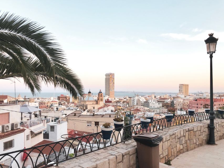From Valencia: Private Day Trip to Alicante with Local Guide - An In-Depth Look at the Tour Experience