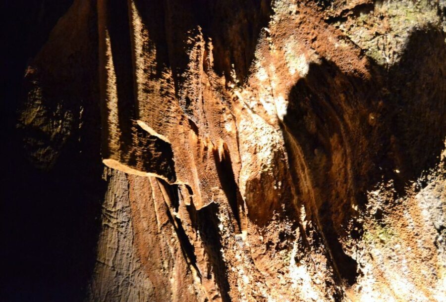 From Valencia: Private Half Day-Trip to Cuevas de San José - The Itinerary—What You’ll Experience