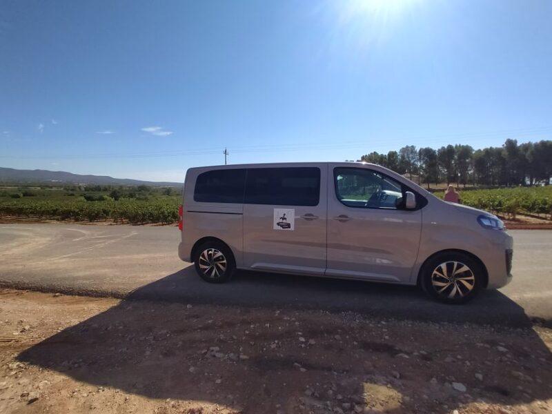 From Valencia: Requena Wine Tour with Tastings - An In-Depth Review: What Makes This Tour Stand Out